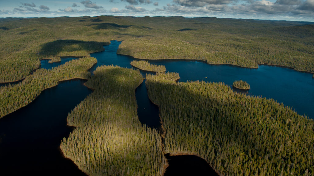 L’Observatoire régional de recherche sur la forêt boréale dresse un ...